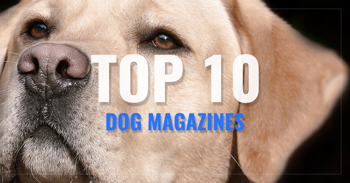 Top 10 Dog Magazines - Dogster, Whole Dog Journal, Modern Dog, Animal ...