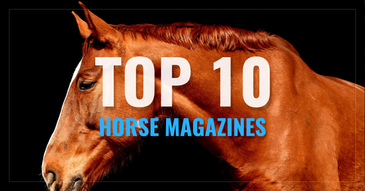 Top 10 Horse Magazines - Practical Horseman, ProRodeo Sports News ...